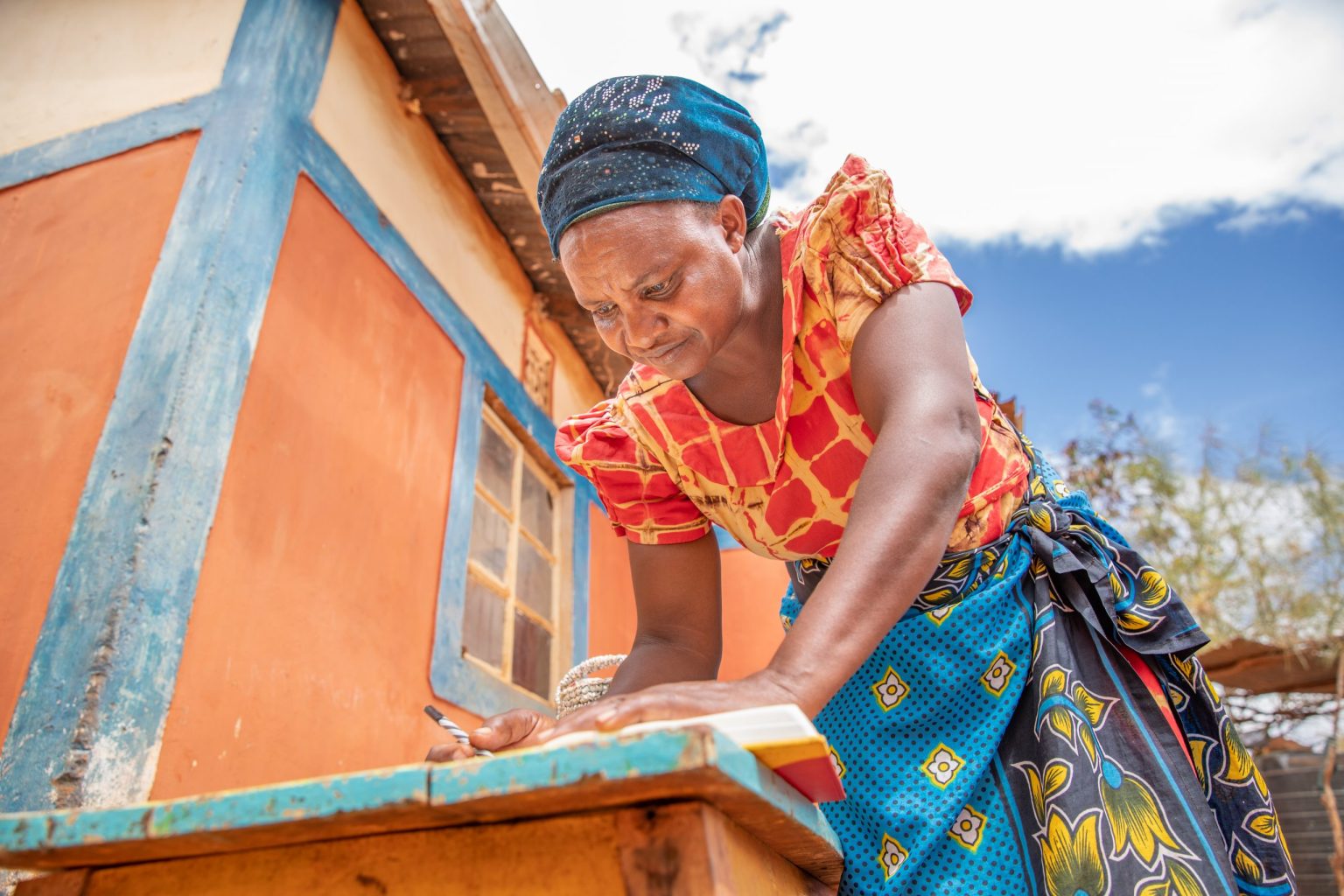 Digital Platforms for Agriculture in SSA & Matchmaking for ...