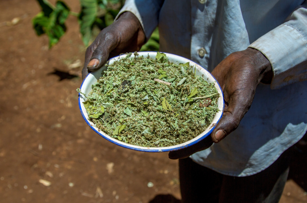 Introducing the Agile Impact Series – Mercycorps Agrifin