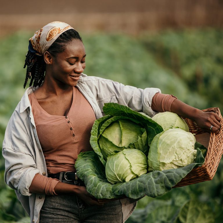 Farmer Impact – Mercycorps Agrifin