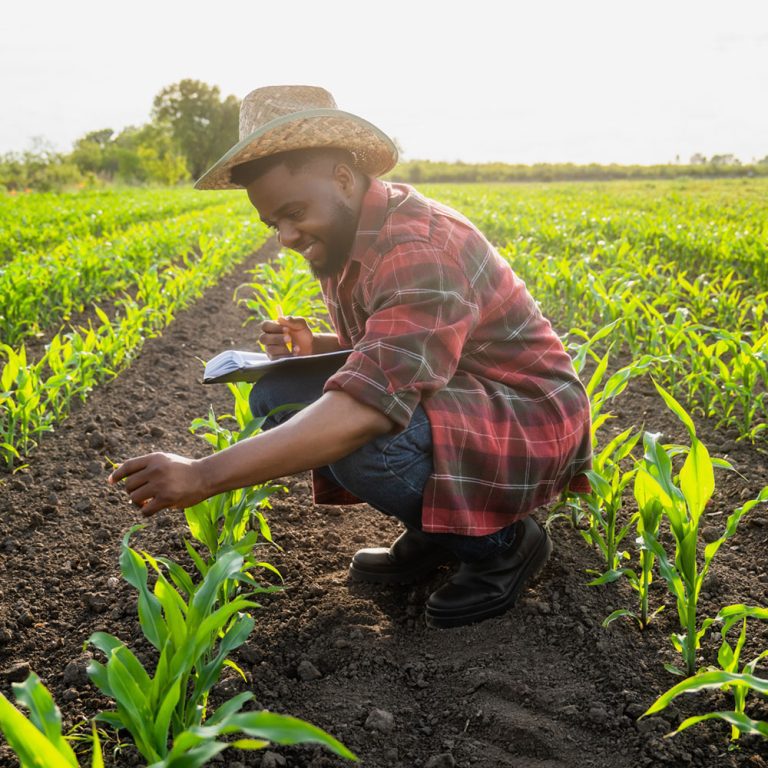 Farmer Impact – Mercycorps Agrifin