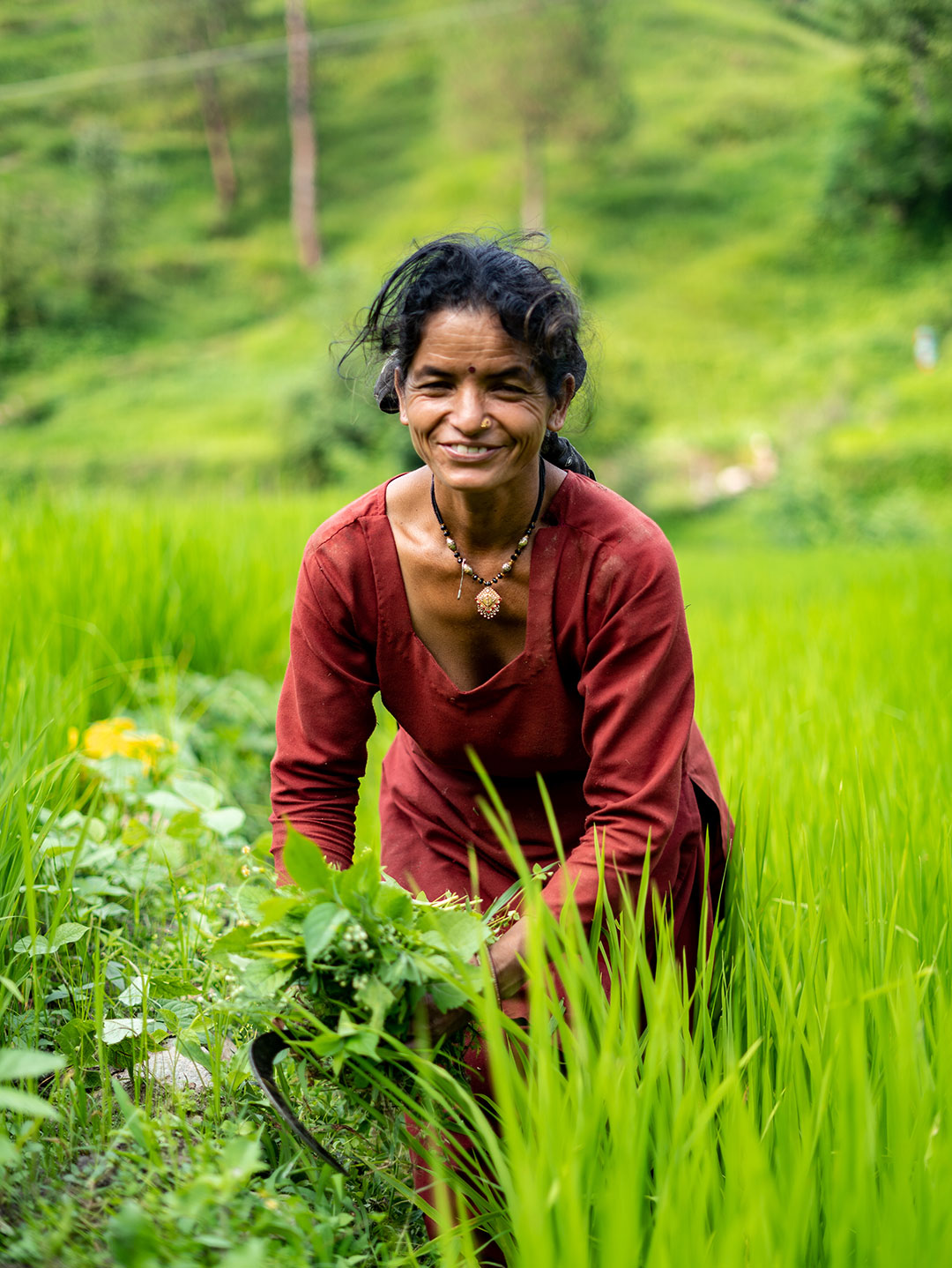 AgriFin for Women (A4W) India – Mercycorps Agrifin
