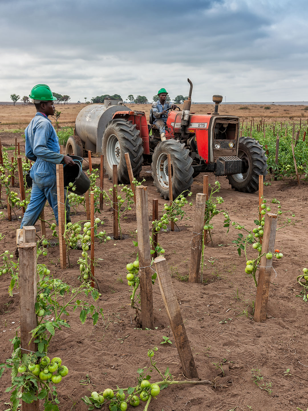 Farmer Insights – Mercycorps Agrifin